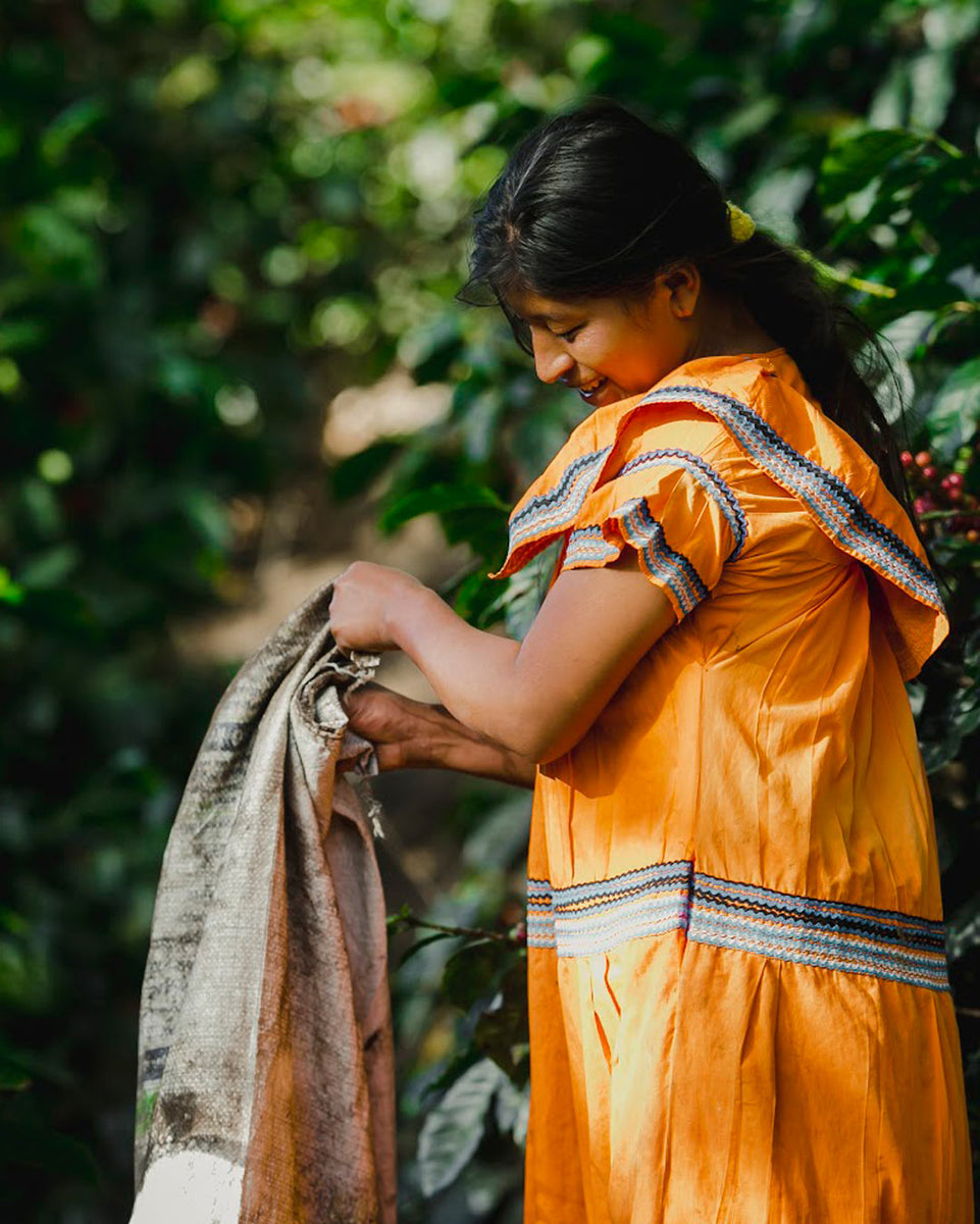 97 Points of Brilliance: Panama Geisha Coffee from Bambito Estate Shin ...